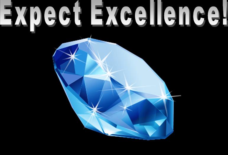 The Excellence Experience. | Values Stream Alignment